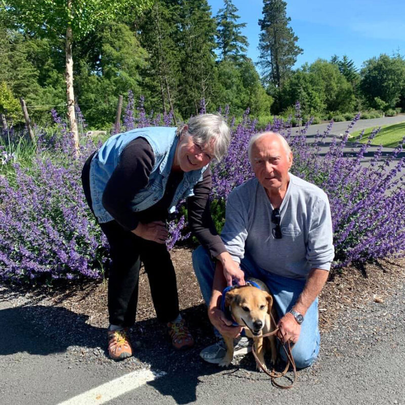 Happily Homes "Savvy" - Animal Protection Society Friday Harbor