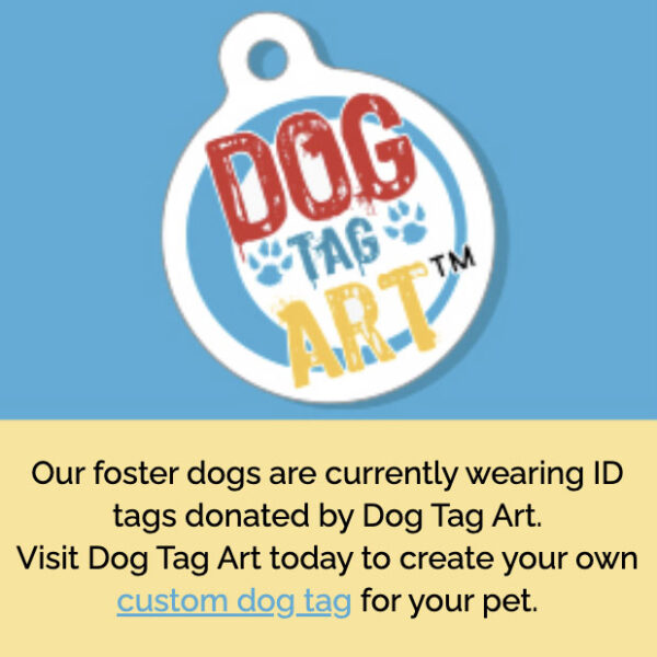 Home - Animal Protection Society Friday Harbor