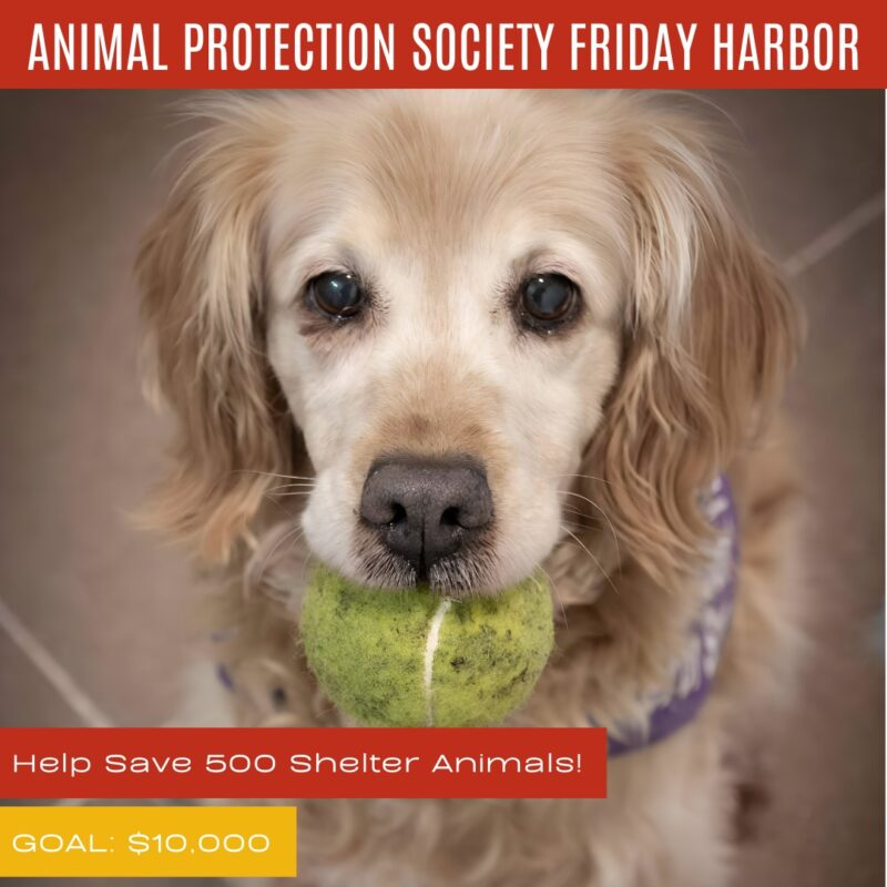 Home - Animal Protection Society Friday Harbor
